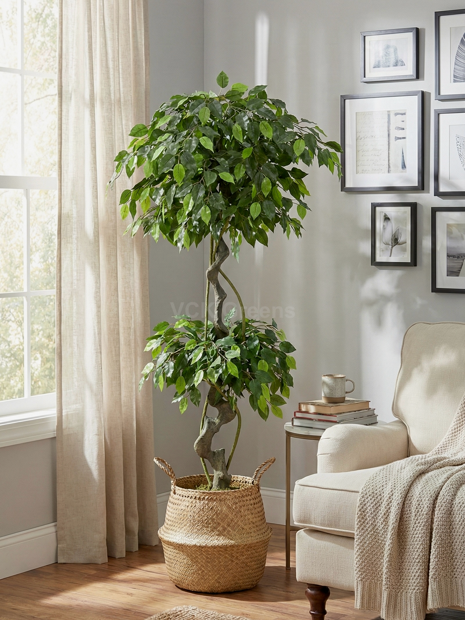 Artificial Topiary Ficus Plant 5ft – VCK Greens