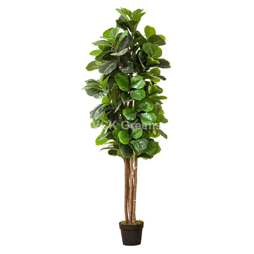 Artificial Fiddle Leaf Tree 6ft With Black Pot – VCK Greens