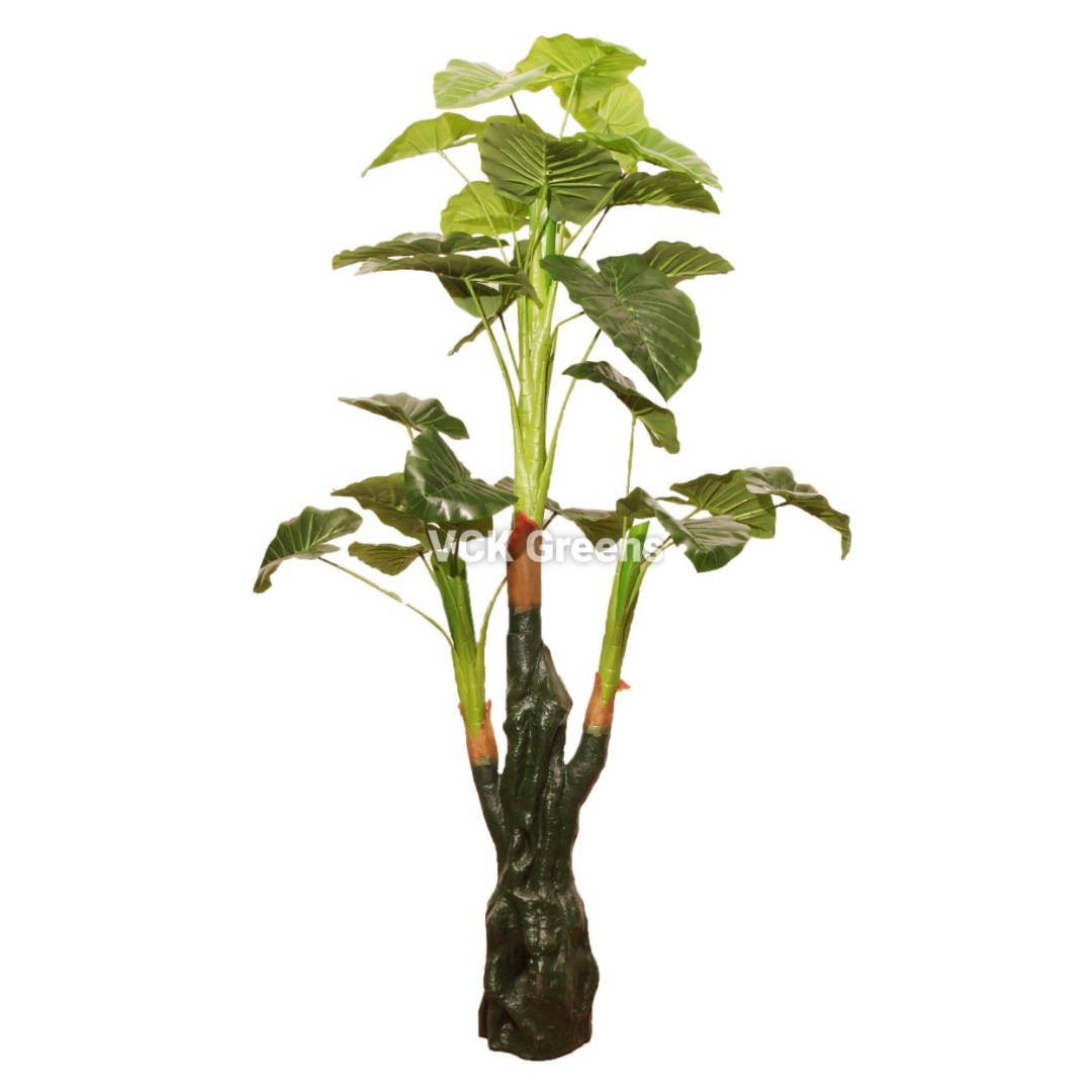 Trunk Plants – VCK Greens